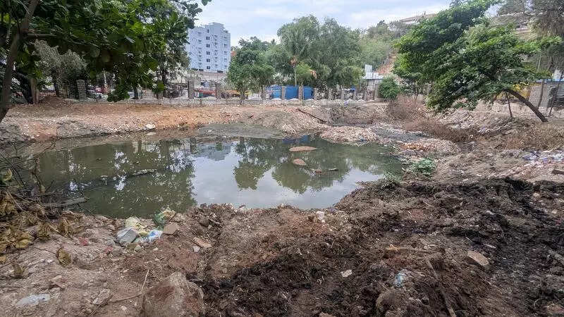 Pond in Jubilee Hills MCH Park turns breeding ground for disease ...