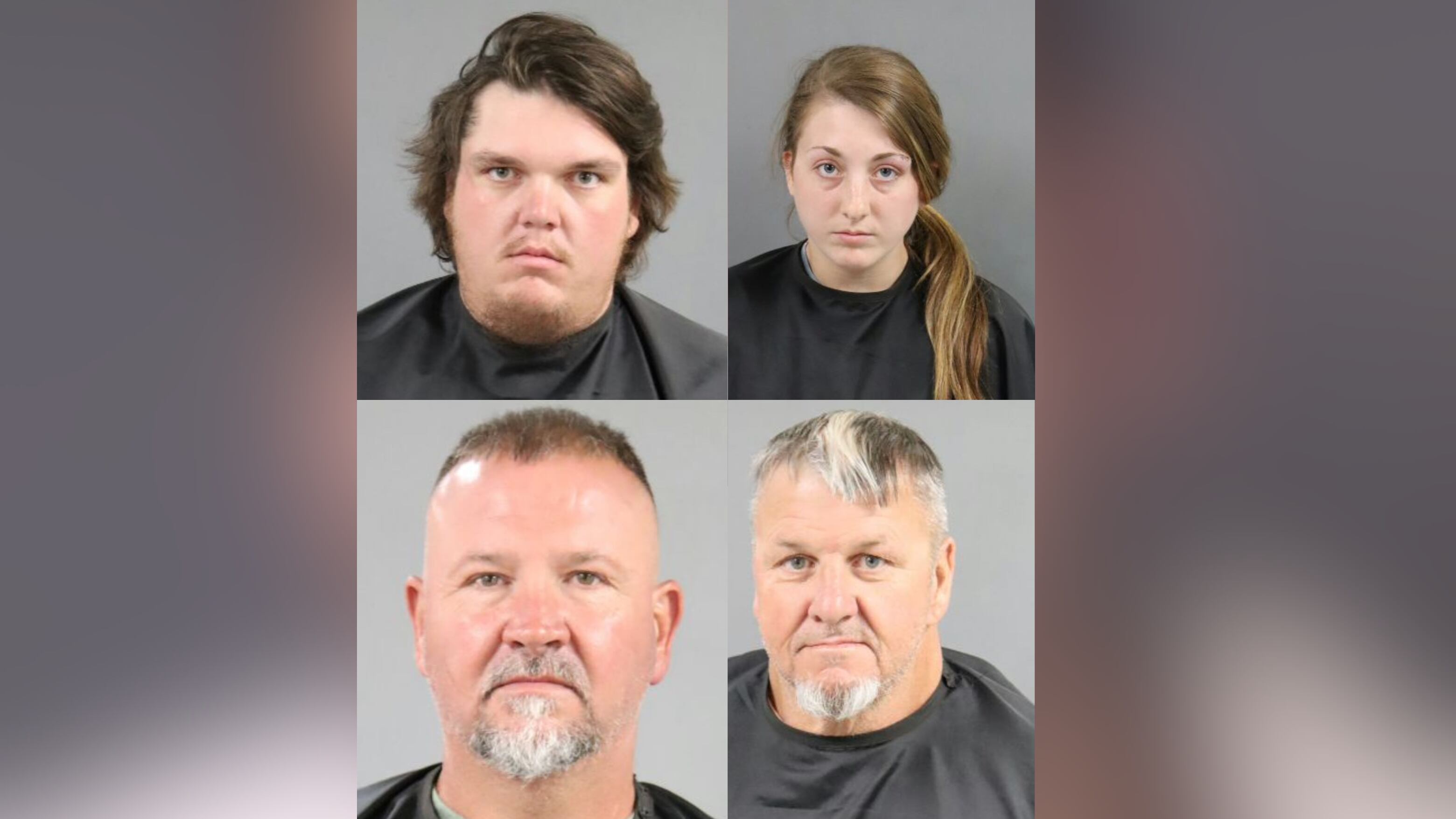 Deputies: 4 people charged after fight at high school softball game
