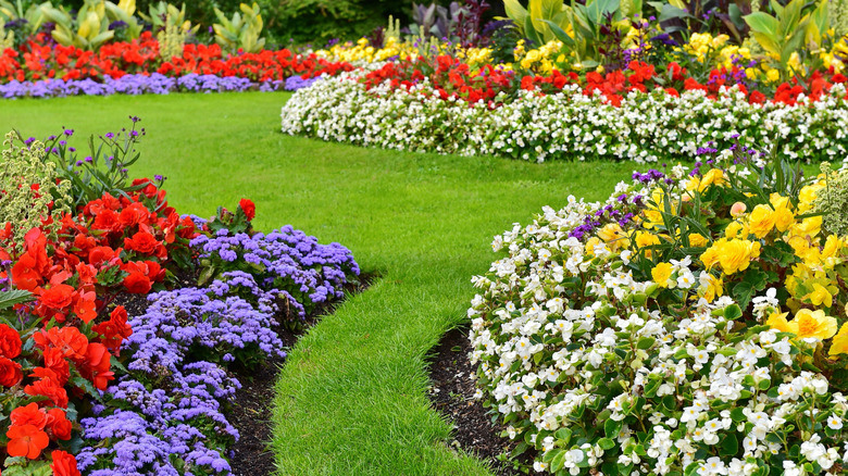 12 Natural Landscape Edging Ideas To Elevate Your Yard
