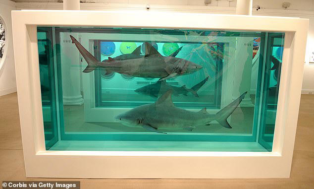 Artist Damien Hirst says he rejected knighthood as he 'never felt ...