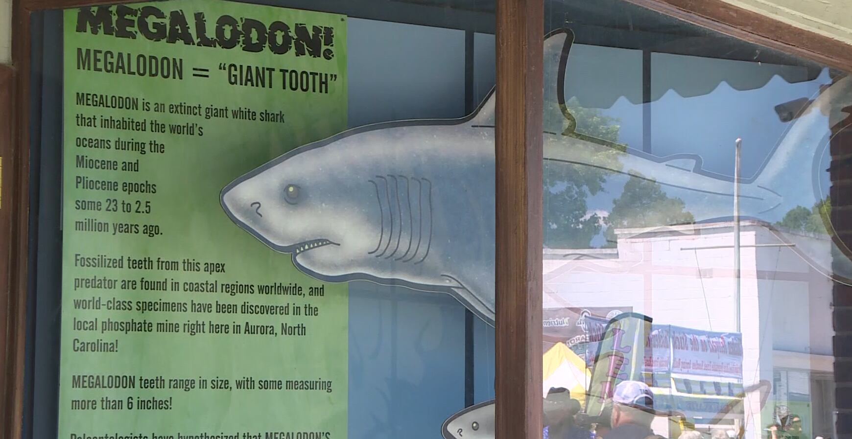 Aurora Fossil Museum hosts annual NC Fossil Festival