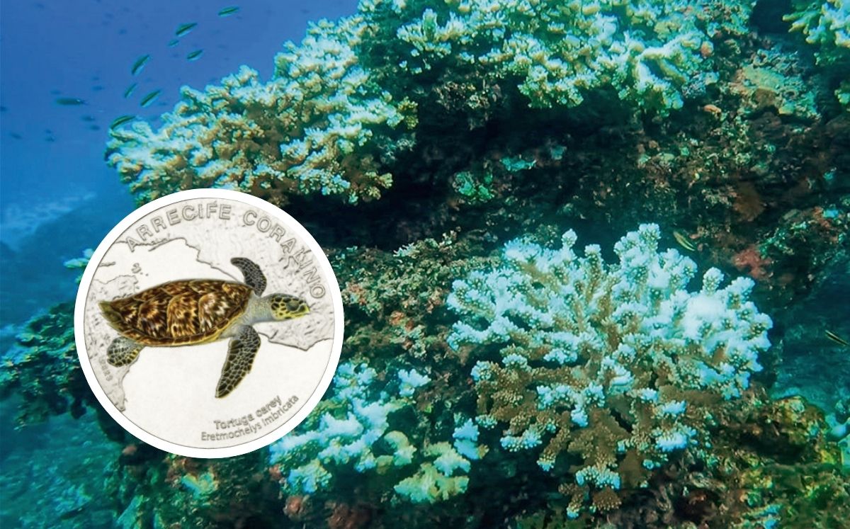 Cuánto cuesta la nueva moneda de 50 colones de colección y dónde comprarla