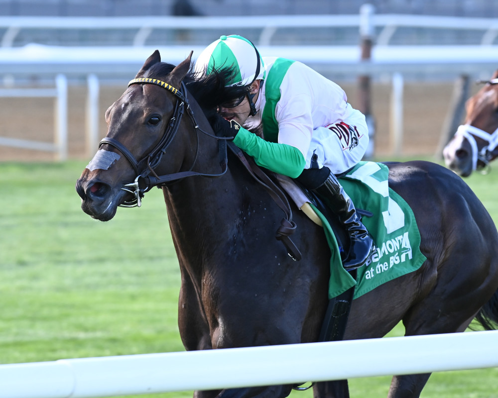 Clock Tower Zips To Victory On Front End In Paradise Creek