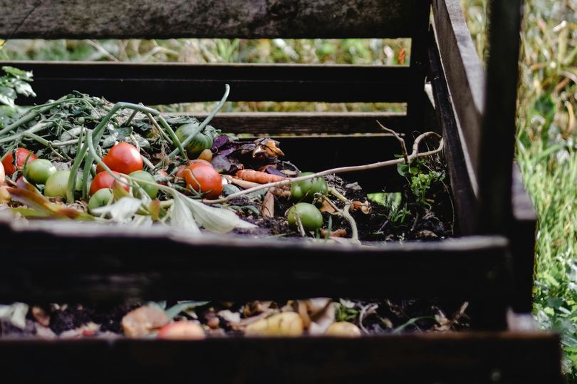 Garden expert says putting this in compost 'attracts unwanted pests'