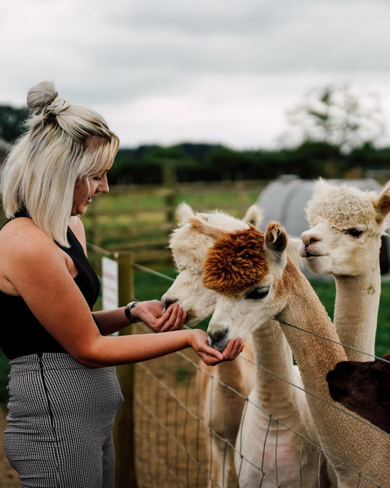 15 cool places to visit in and around Derby according to locals