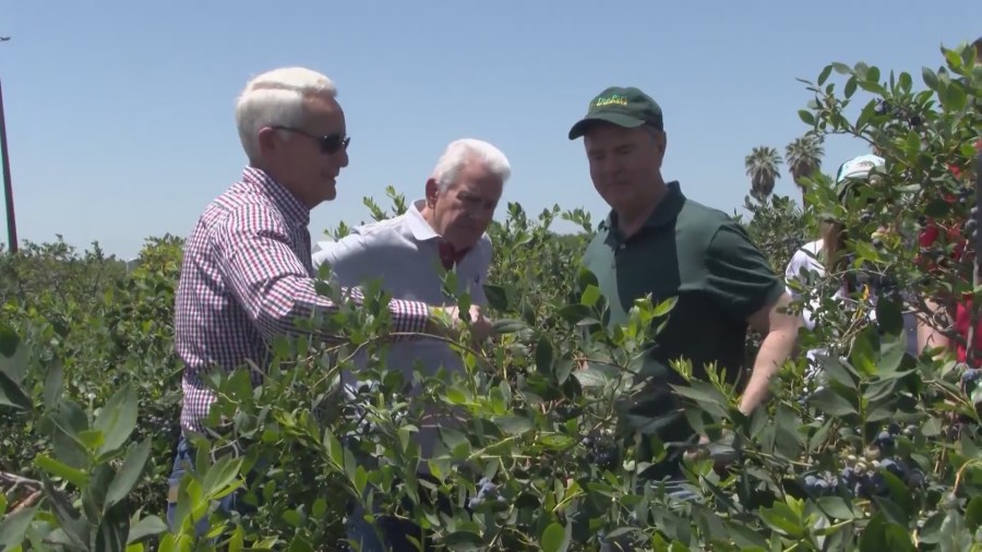 CA Senator Adam Schiff visits farm in South Fresno