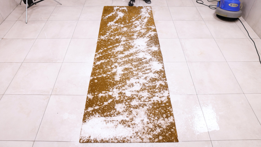 Satisfying Rug Cleaning Transformation