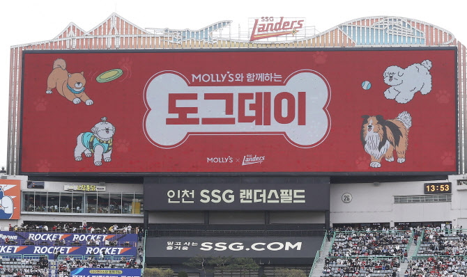 SSG, 25일 LG전 홈경기 만원관중...올 시즌 8번째 매진