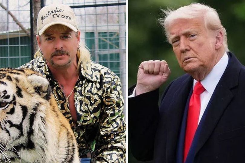 Joe Exotic begs Donald Trump for prison release so he can buy husband a ...