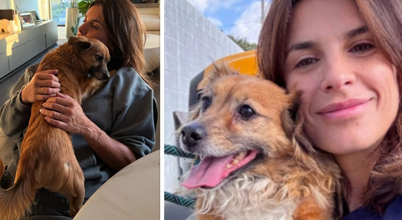Elisabetta Canalis, morto il cane Charlie. La foto straziente per l ...