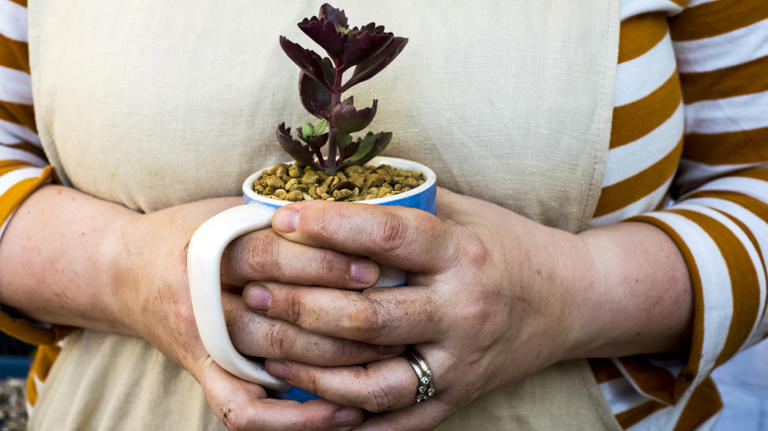 How To Turn A Ceramic Mug Into A Cute Planter Without Using A Drill