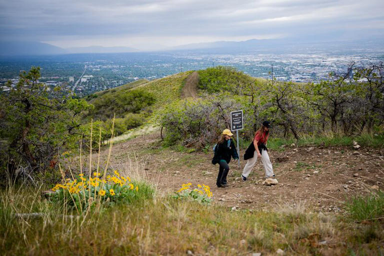 Bonneville Shoreline Trail: From an ancient lake to a modern-day ...