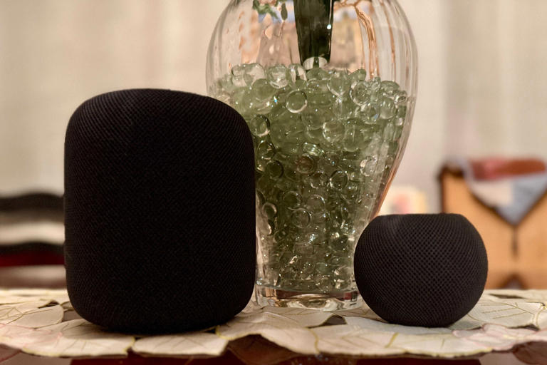 HomePod vs HomePod mini: Which Is Best for You?