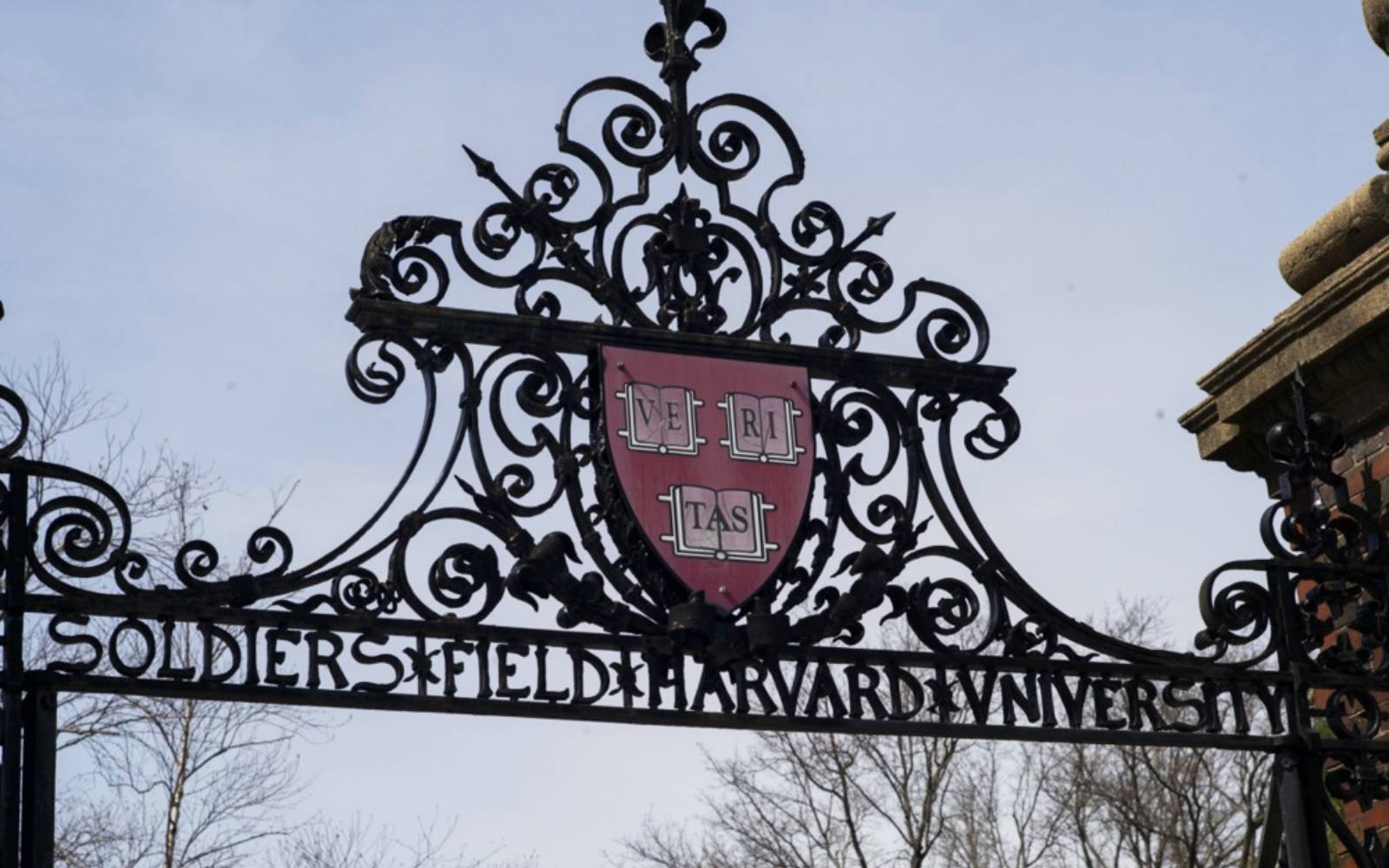 US judge blocks Trump’s plan to ban foreign students at Harvard