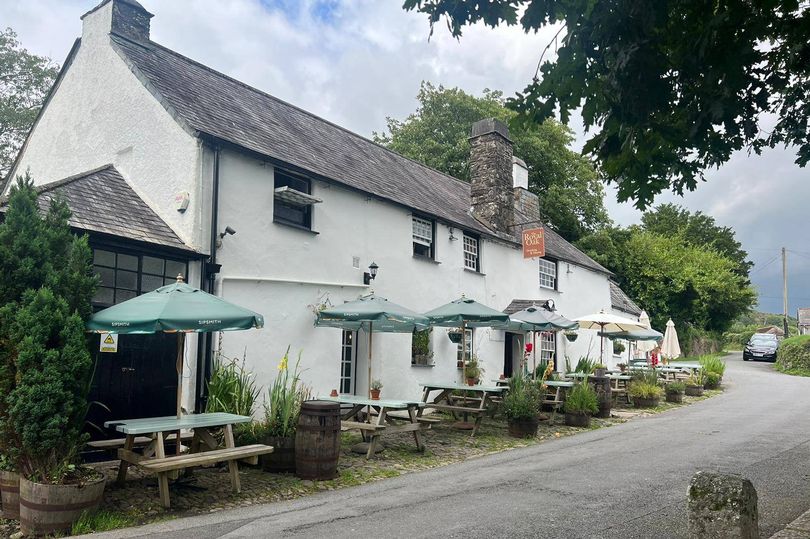 Devon's time warp village with renowned tree and proper pub