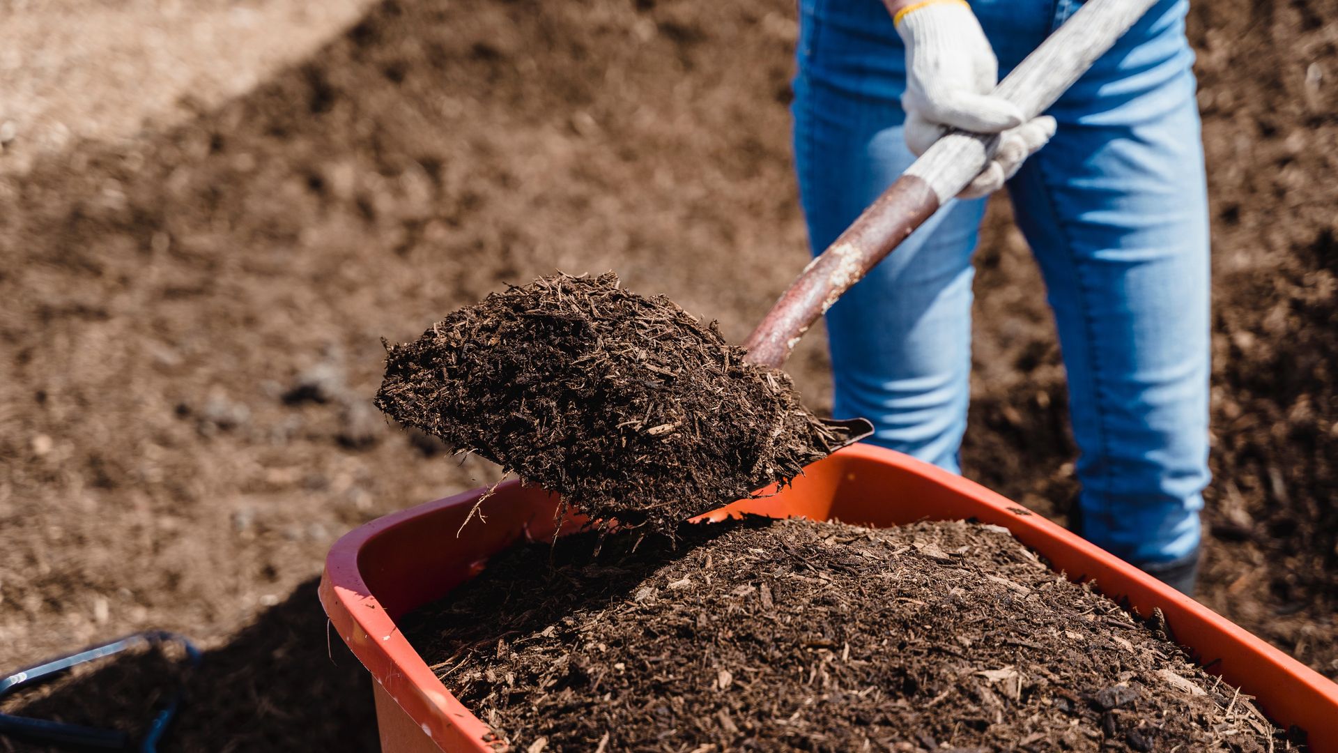 7 things you should never compost, according to a gardening expert