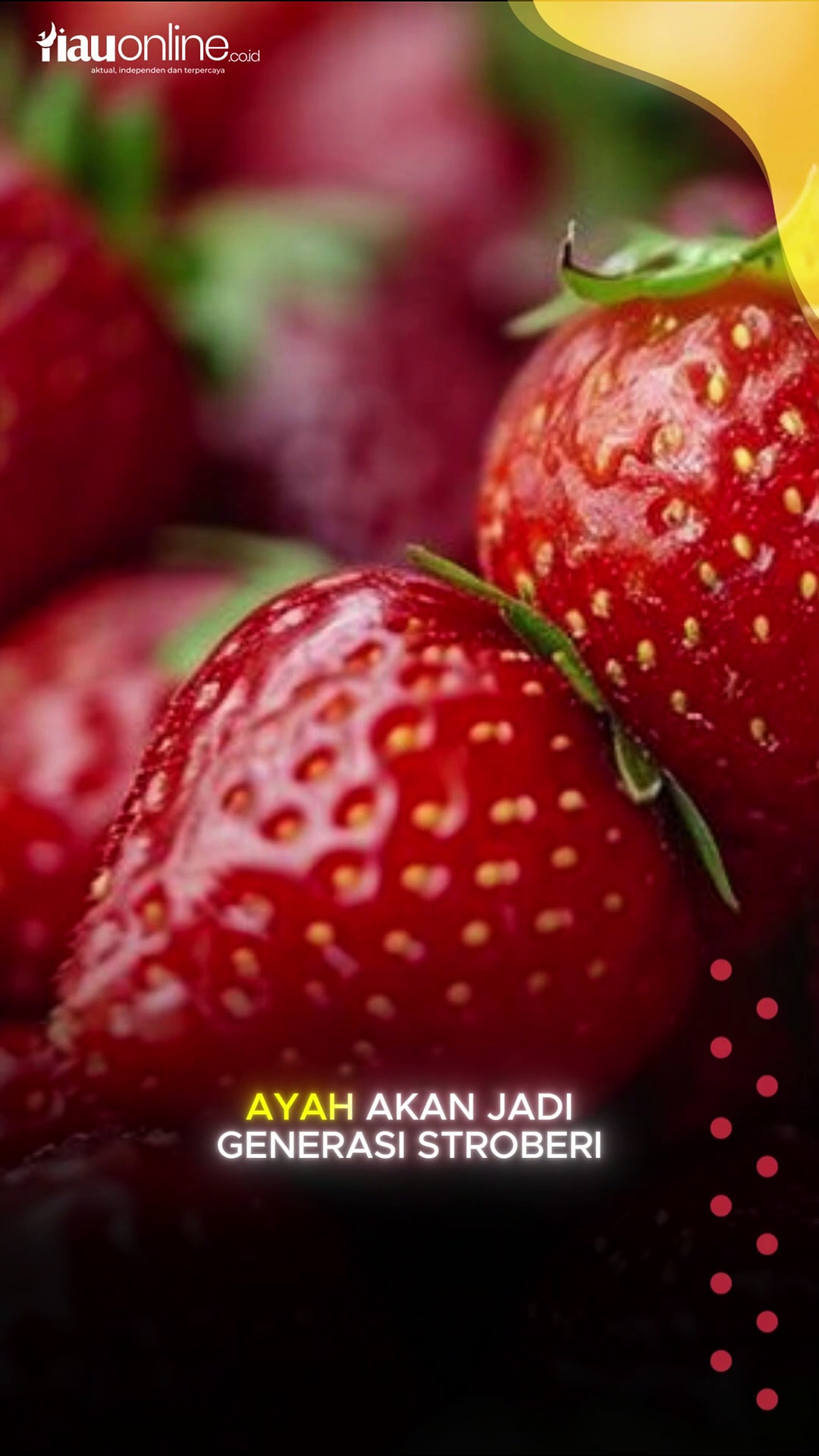 Benarkah Anak yang Tumbuh Tanpa Peran Ayah Akan Jadi Generasi Stroberi ...