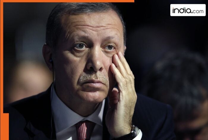 Boycott Turkey Impact: One move by India destroys this Turkish company ...