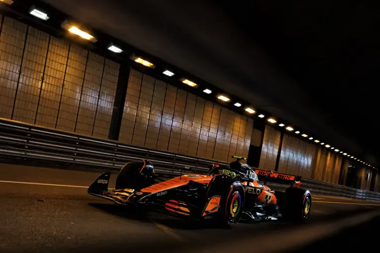 How to Save a Tree With Damaged Bark