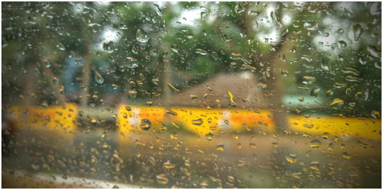 Kerala declares holiday for educational institutions in multiple ...