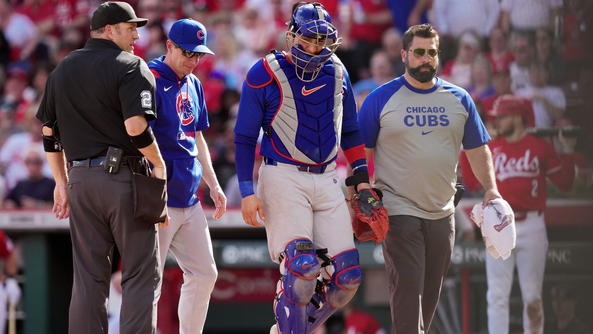 Cubs roster move: Miguel Amaya to injured list, Reese McGuire selected