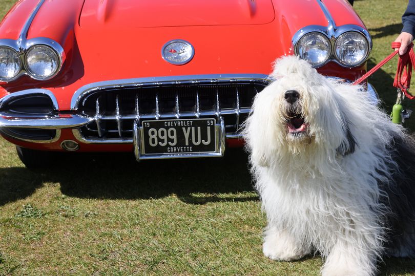 14 pictures as North East petrol heads gather in Seaham for American ...