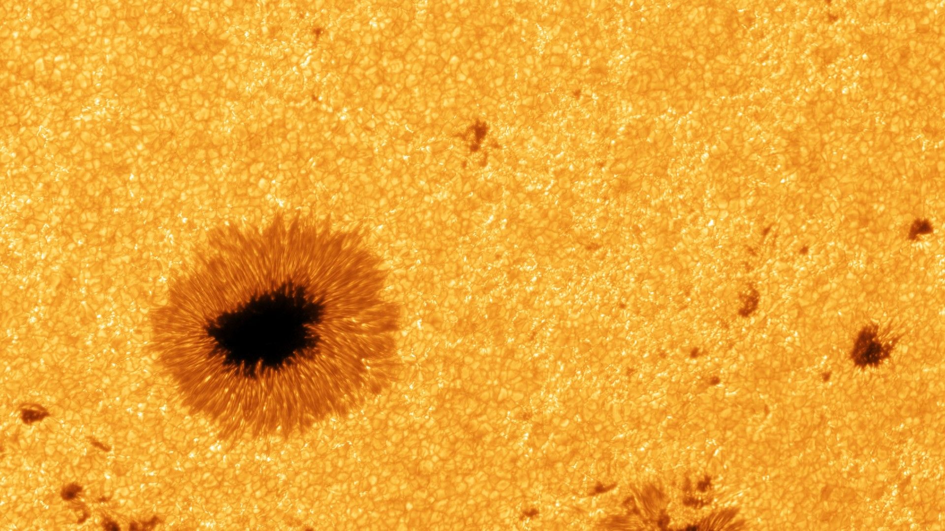 New 8K-resolution photos of the sun show off incredible details of ...