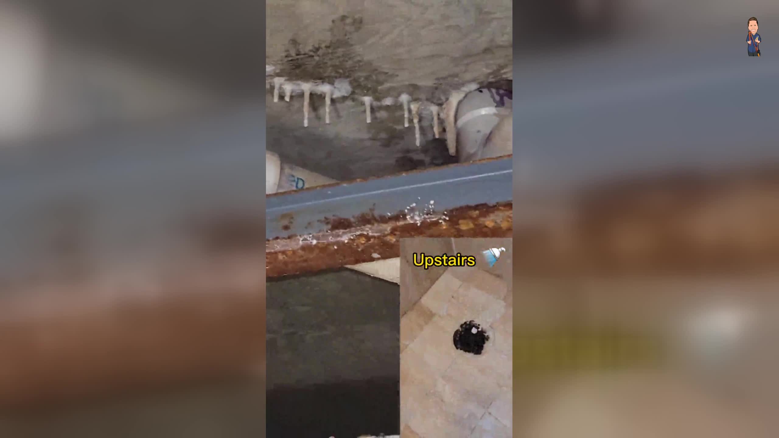 How to Check a Shower Pan for Leaks: DIY Home Inspection Guide