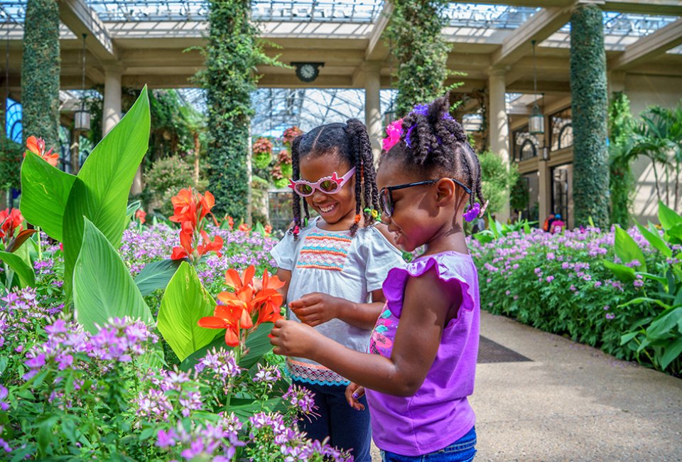 Our Epic Summer Bucket List of Things To Do in Philly with Kids
