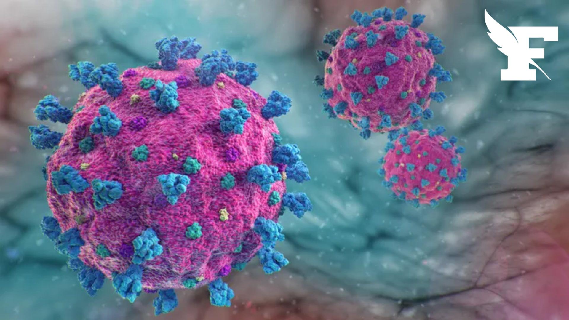 Covid-19 : faut-il s’inquiéter du nouveau variant détecté en France