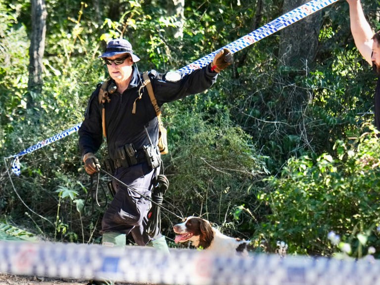 Grim update in search for Pheobe Bishop, 17, whose disappearance has ...