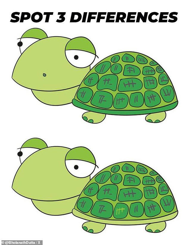 Can you spot the 3 differences in cute turtle drawings in under 10 seconds