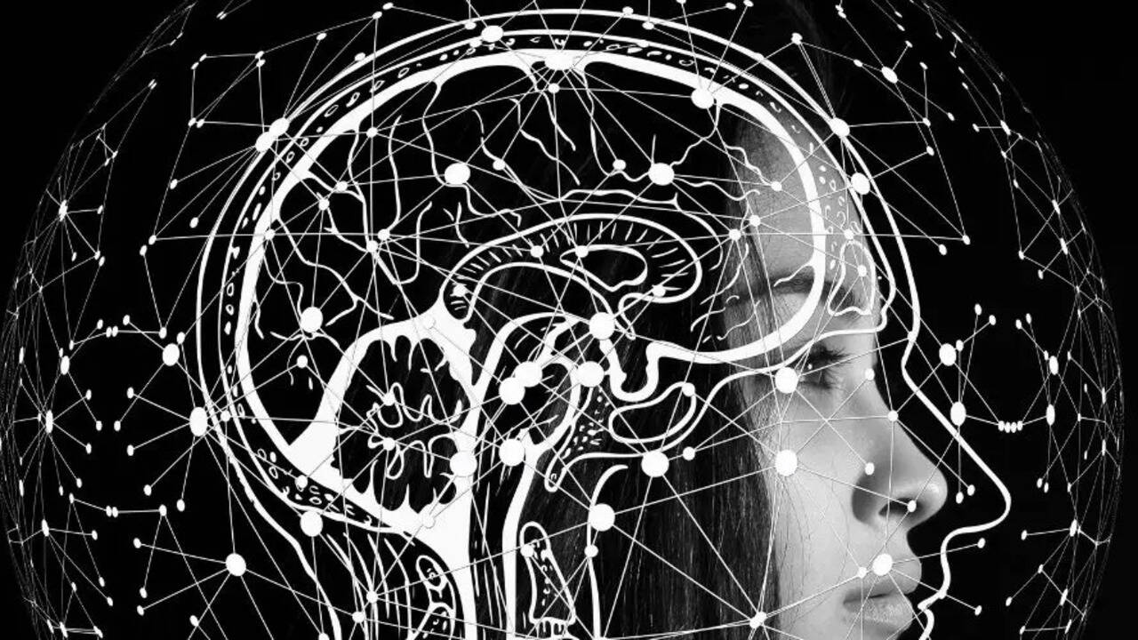 Brain Rot: How Endlessly Scrolling Reels May Be Rewiring Your Brain?