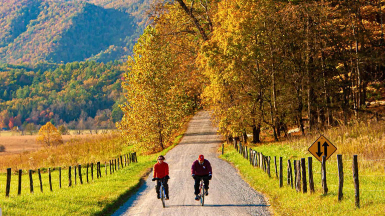 No Cars, No Noise, No Regrets: The Midweek Cades Cove Experience That’s ...