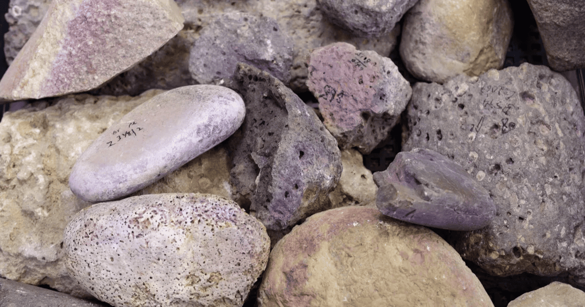 Massive Dye Factory Produced Most Of The Color Purple For Ancient ...