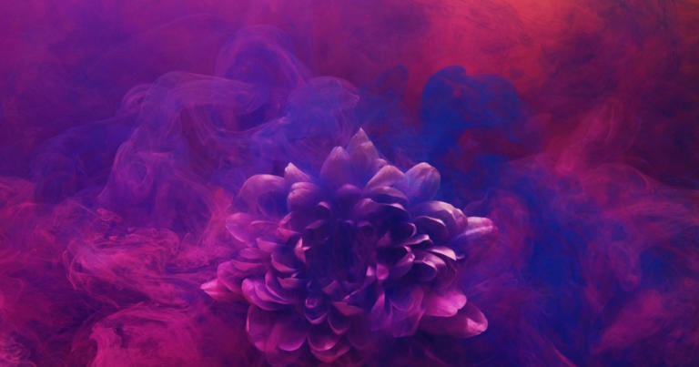 Massive Dye Factory Produced Most Of The Color Purple For Ancient ...