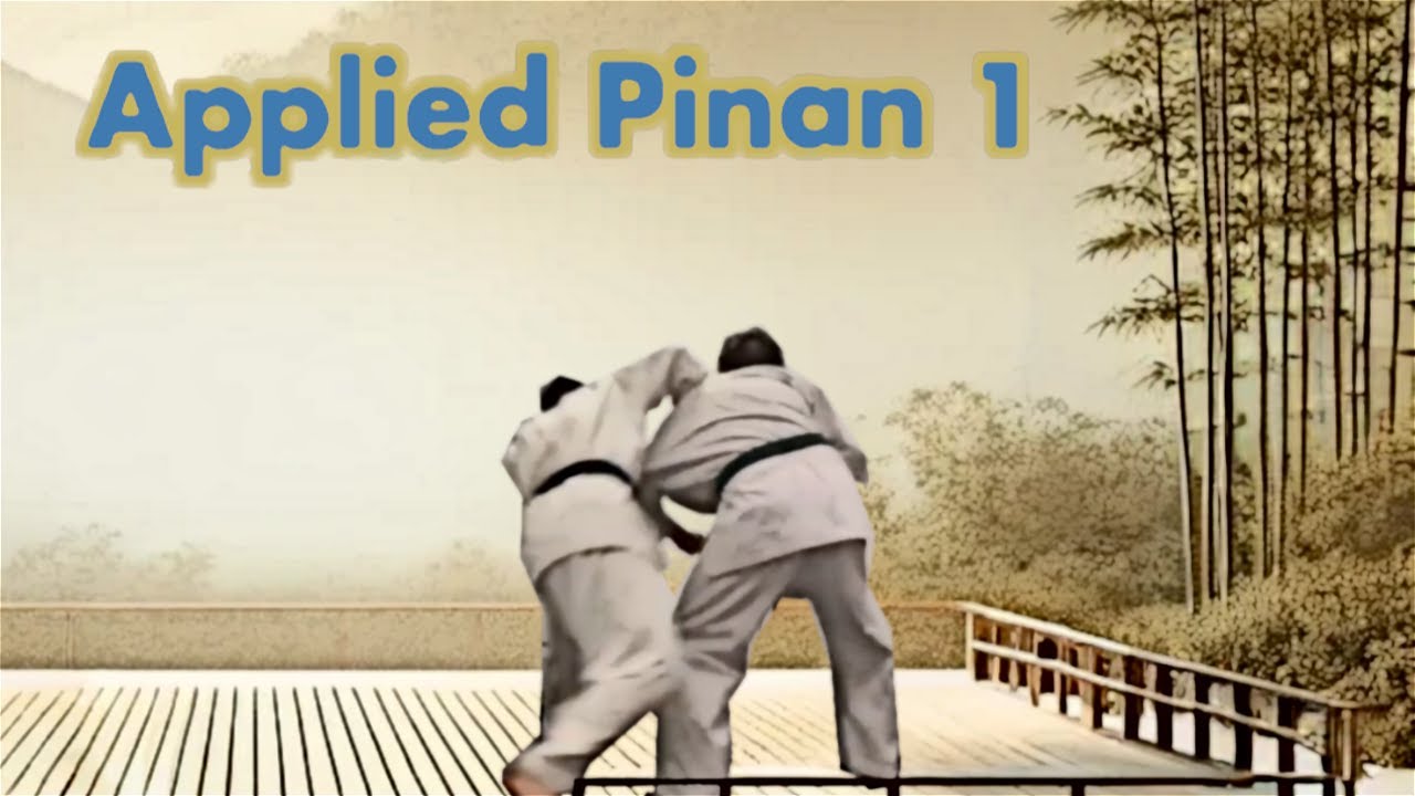 Fight with Kata; Pinan 1 (Pinan Sono Ichi, Heian Shodan, Pinan Nidan ...