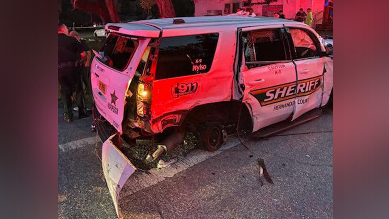 Suspect crashes into K-9 deputy's vehicle after speeding off during ...