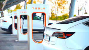 Tesla Vehicles Becoming ‘Badge of Shame’ in the Wake of Musk White ...