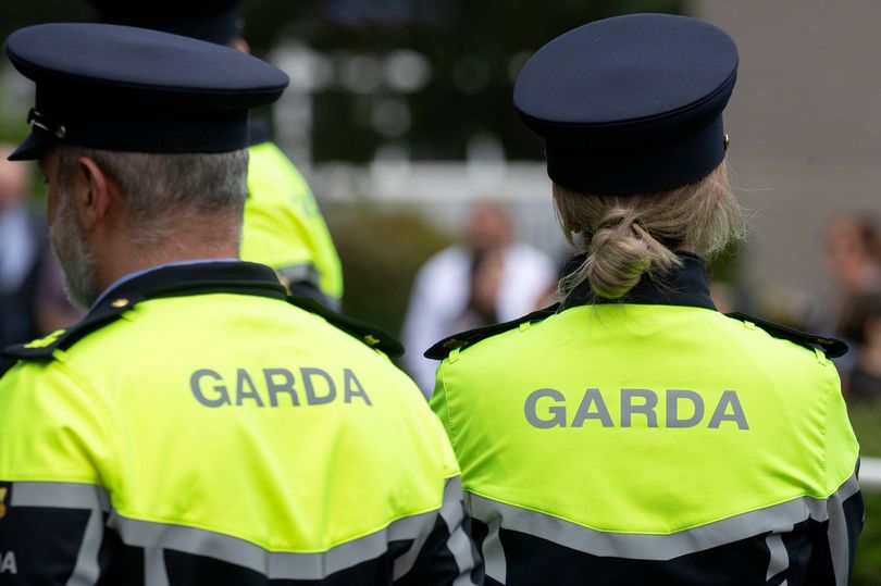 Garda figures show drop in aggravated burglary and theft but increase in fraud