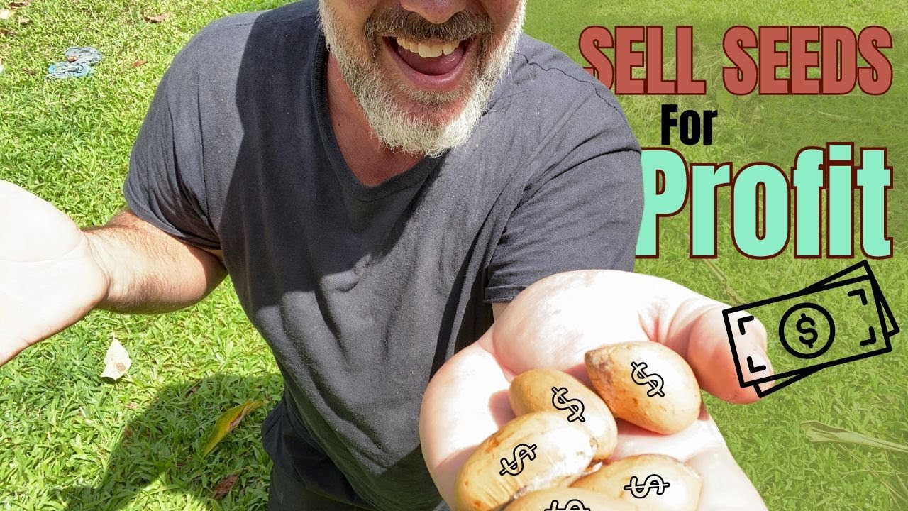 Make Money Selling SEEDS!!! The Best Homestead Side Hustle