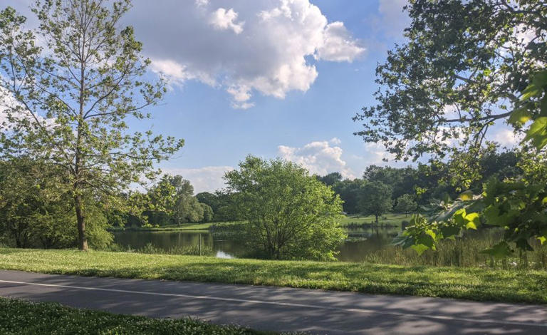 Man accused of exposing himself at Forest Park near women, children