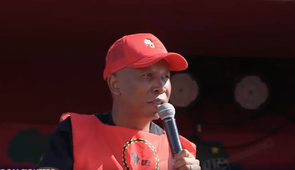 'Register everyone over 18 as a voter' - Malema