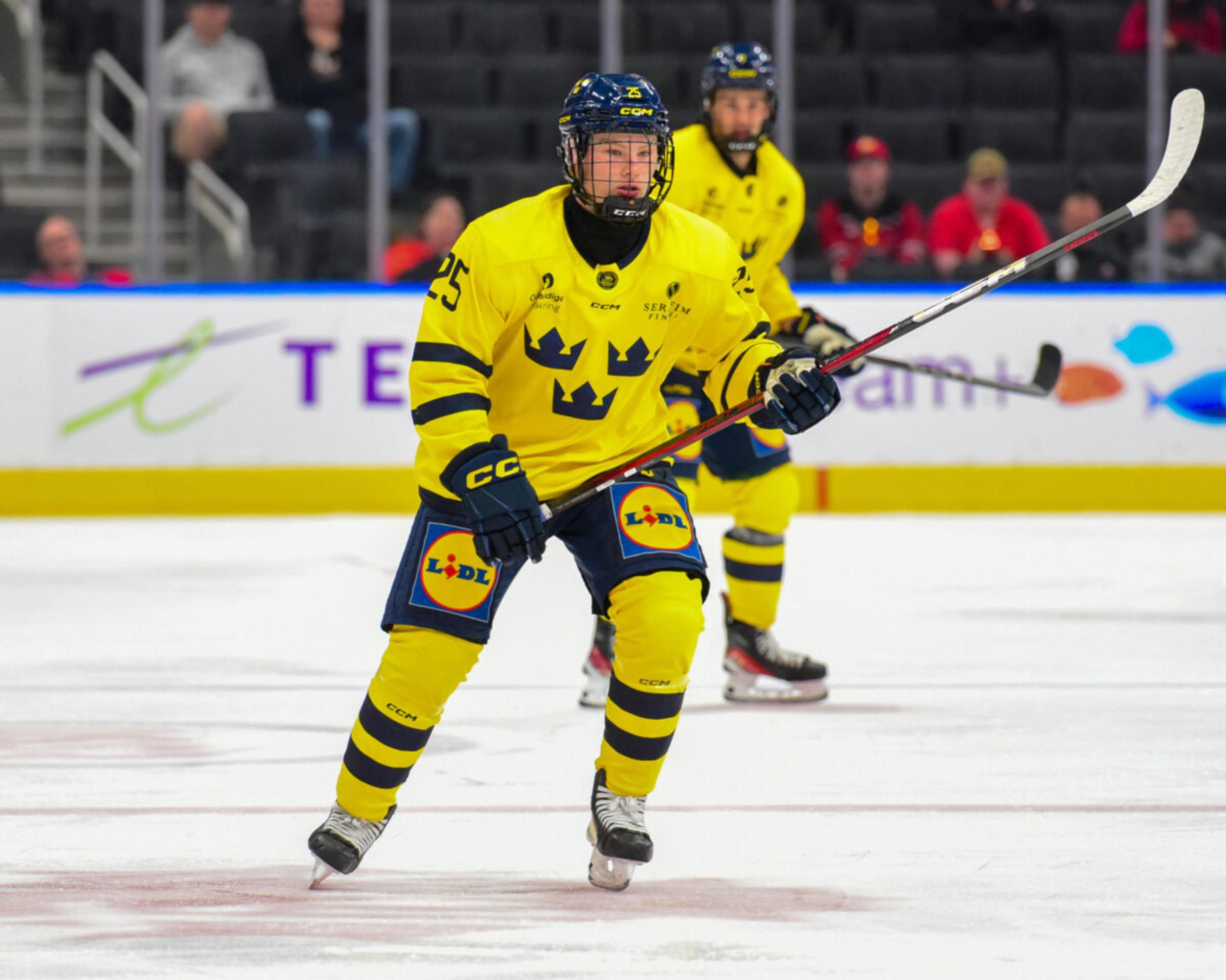 2025 NHL Draft’s Top 10 Swedish Prospects