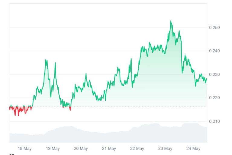 Dogecoin (DOGE) Expands to Solana, While Ruvi AI (RUVI) Attracts Over 1,200 Holders with Its ...