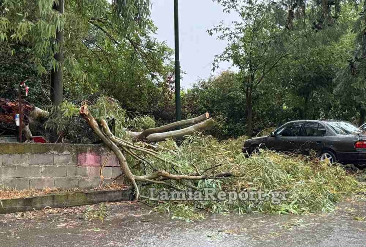Μπλακ άουτ στη Λαμία από την κακοκαιρία - Πλημμύρισαν σπίτια και δρόμοι