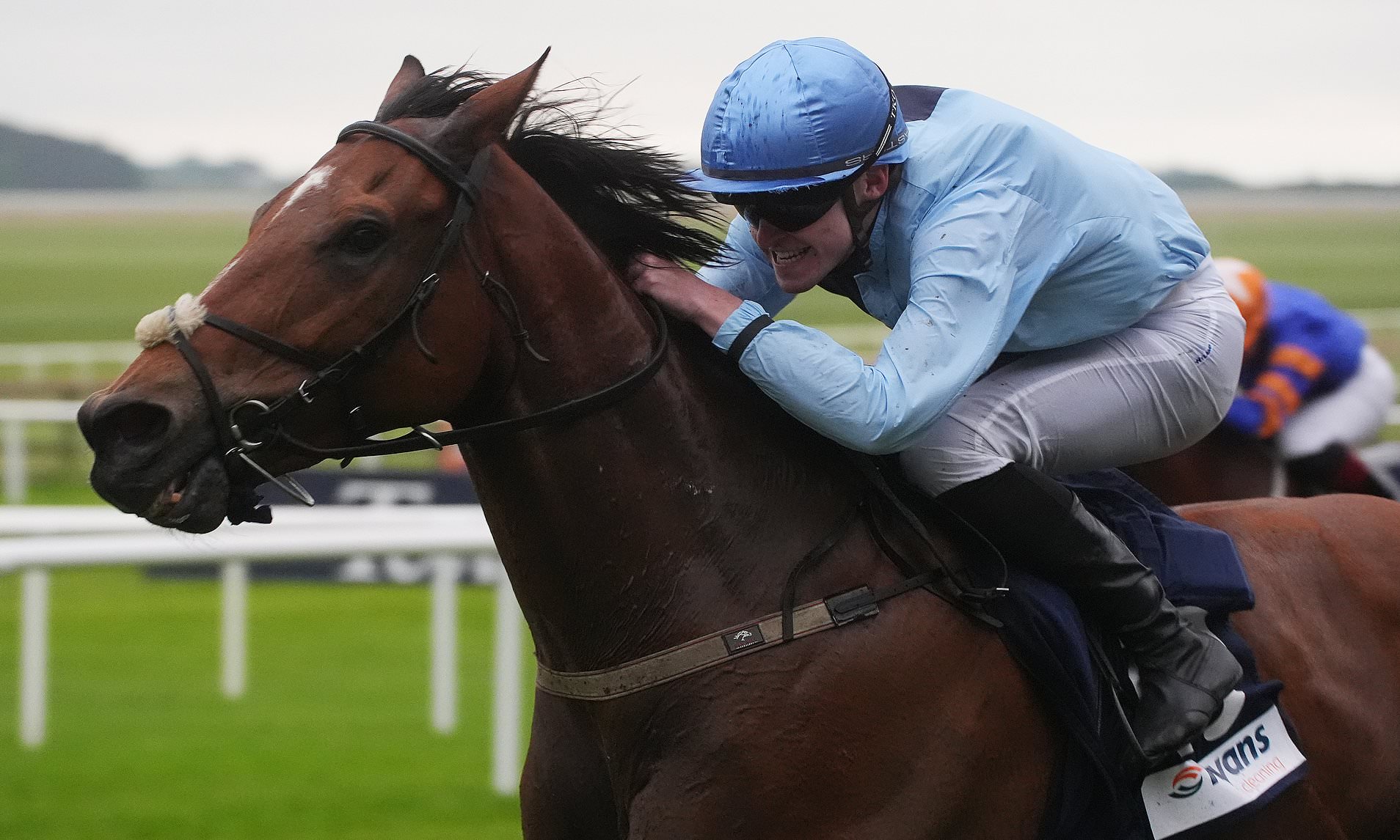 Robin Goodfellow's racing tips: Best bets for Monday, May 26