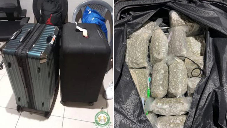 British woman held in custody after £172,000 of cannabis found inside ...