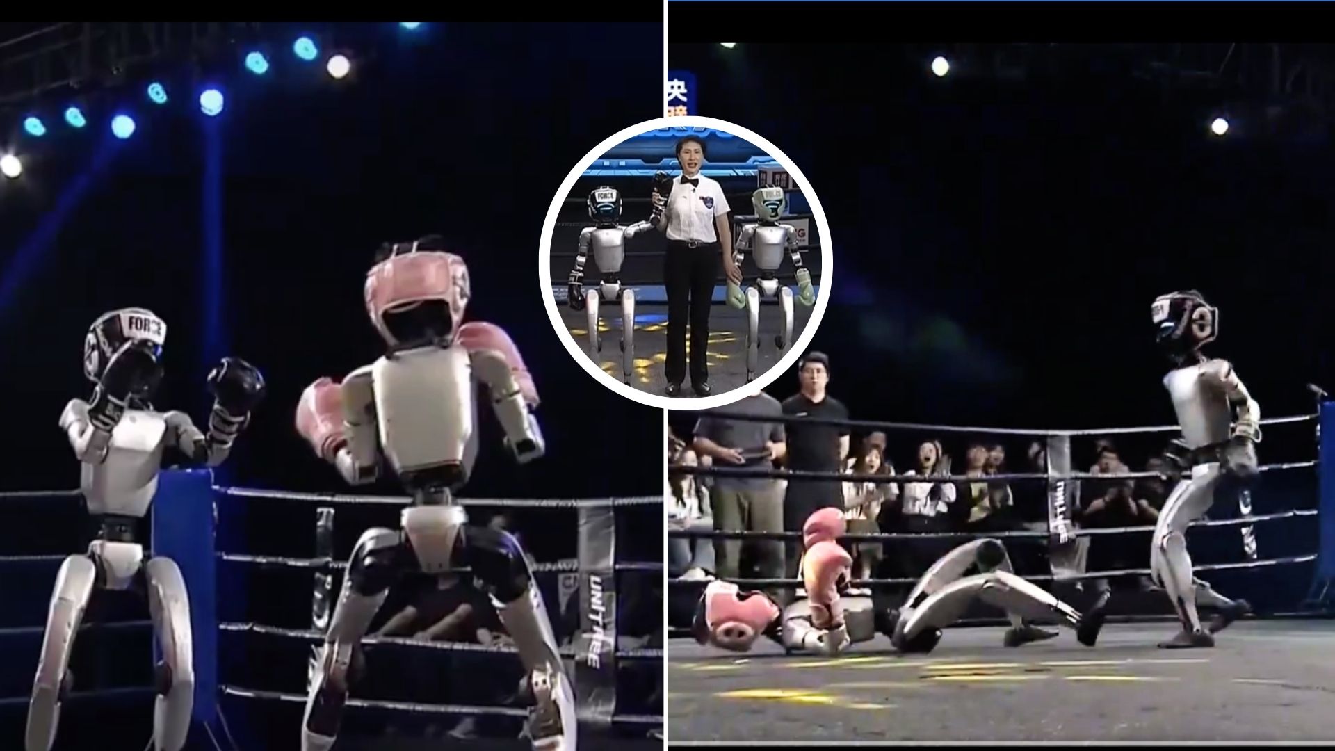 Robot boxing: China’s powerful humanoid wins with tough punches, knocks ...