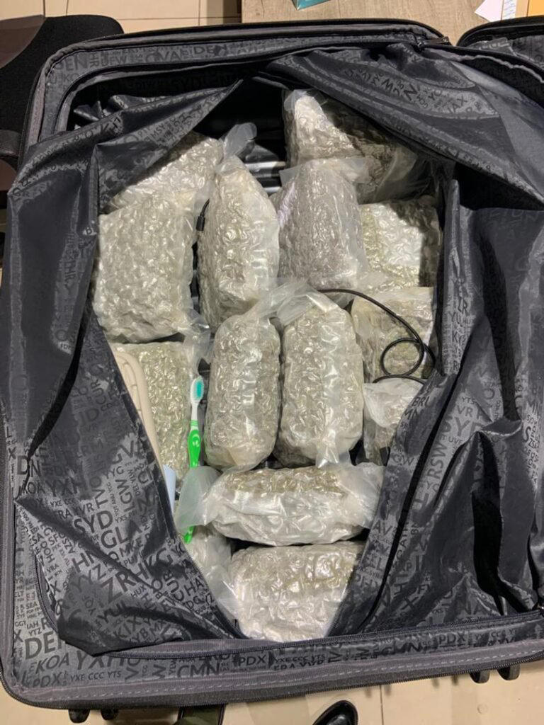 British woman held in custody after £172,000 of cannabis found inside ...